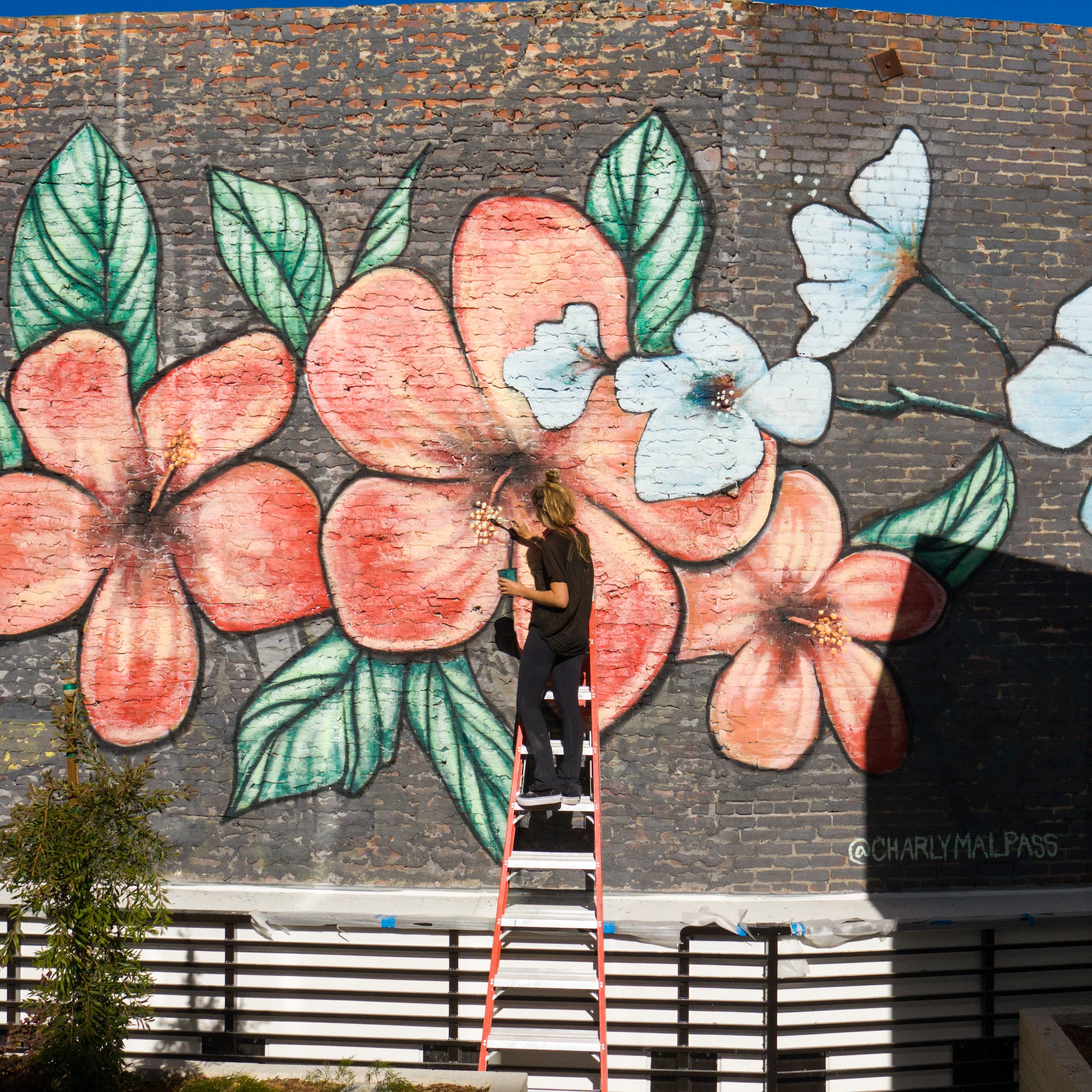 CHARLY MALPASS – Tomorrow's Artist